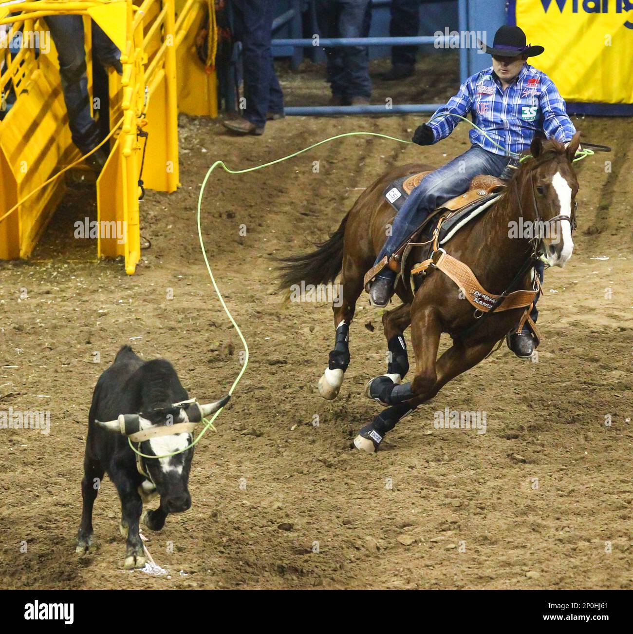 Kaleb Driggers competes in the team roping event during the 3rd go ...