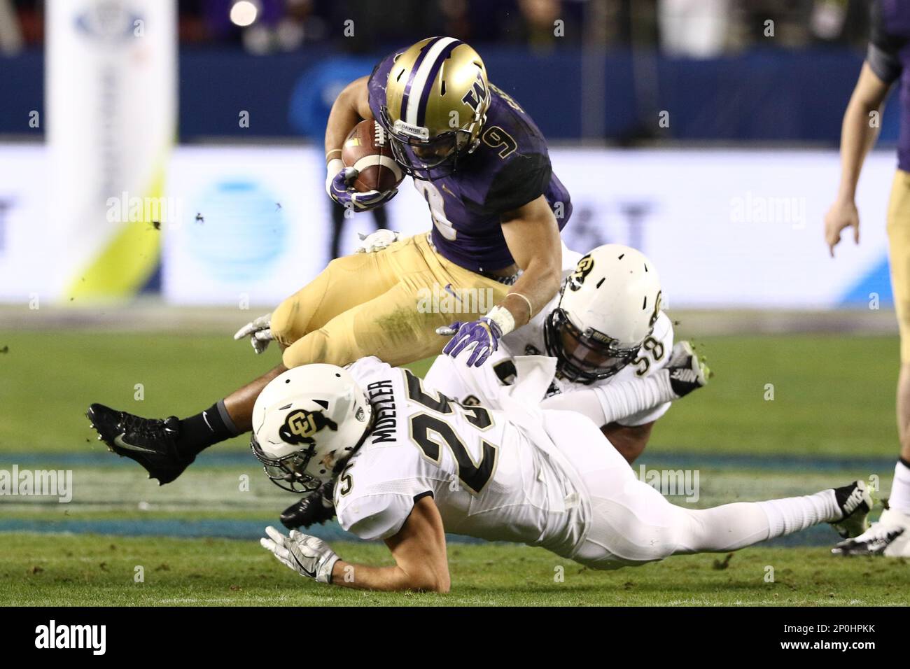 Zbuffaloes hi-res stock photography and images - Alamy