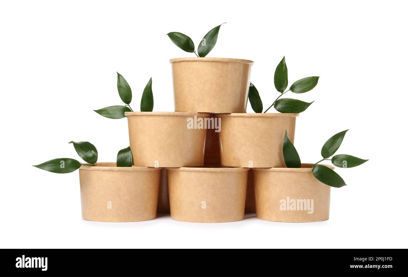 Eco friendly food containers and twigs on white background Stock Photo ...