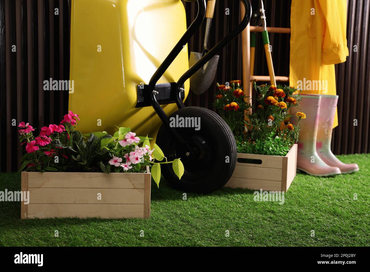 Wheelbarrow, blooming plants, gardening tools and accessories on green ...