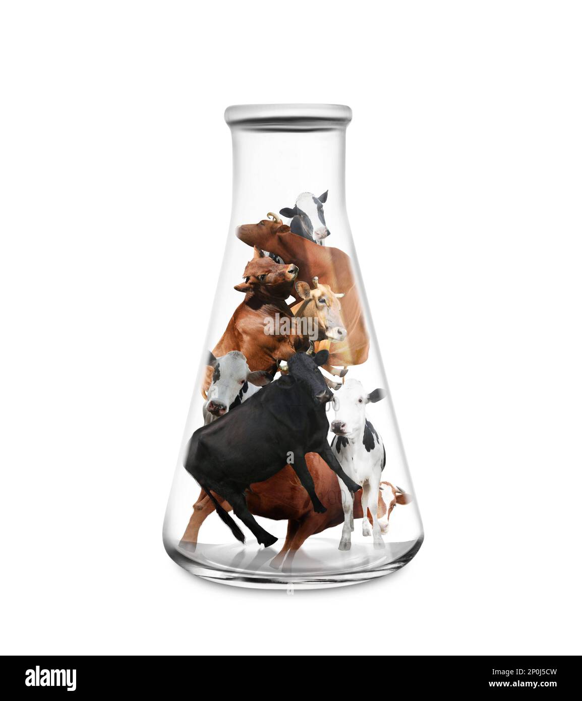 Small medical laboratory in Cut Out Stock Images & Pictures - Alamy