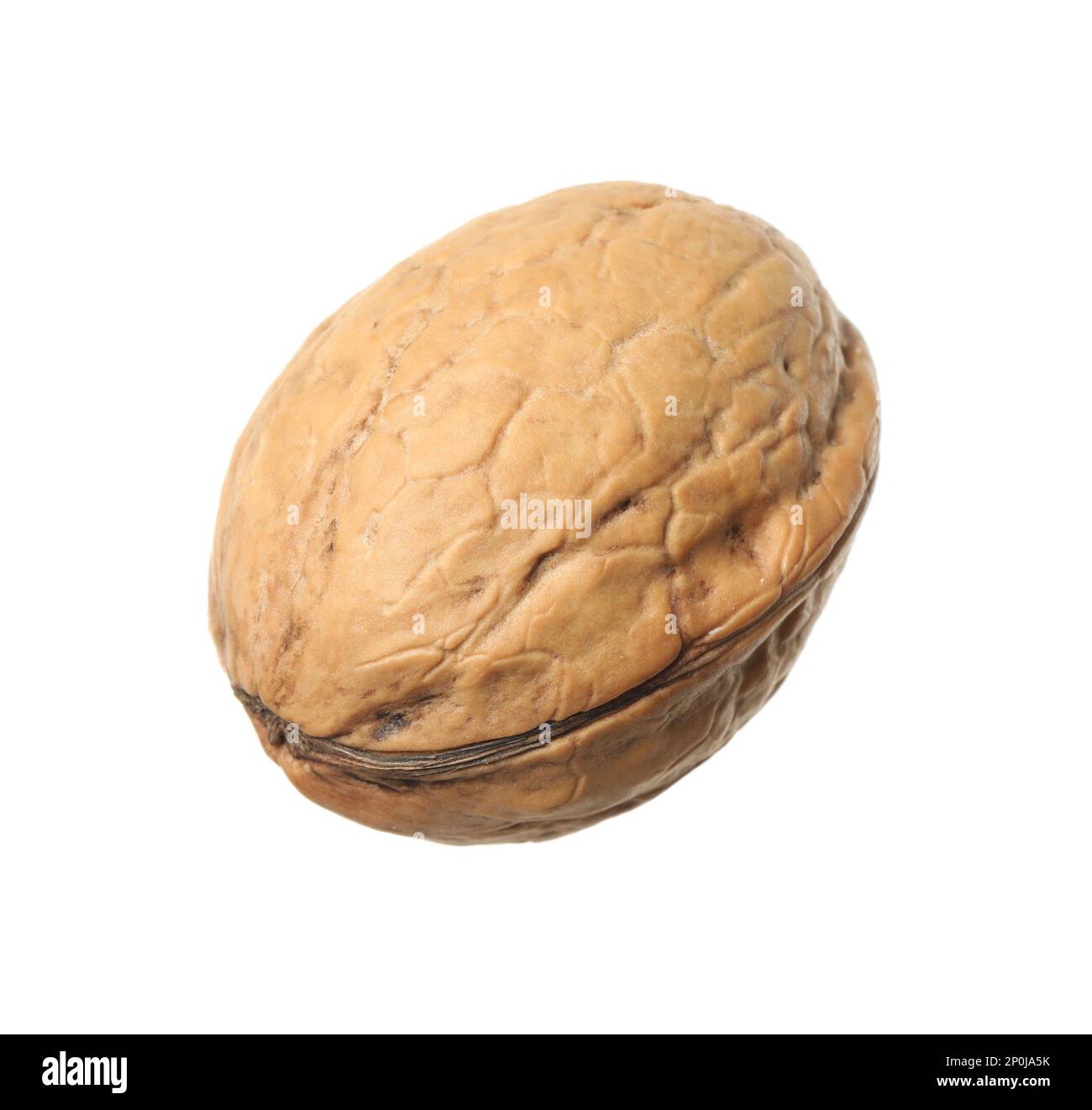 Whole walnut in shell isolated on white Stock Photo - Alamy