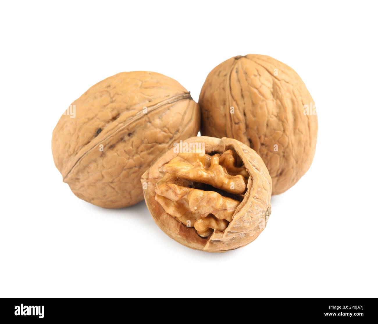 Fresh ripe walnuts in shell on white background Stock Photo - Alamy