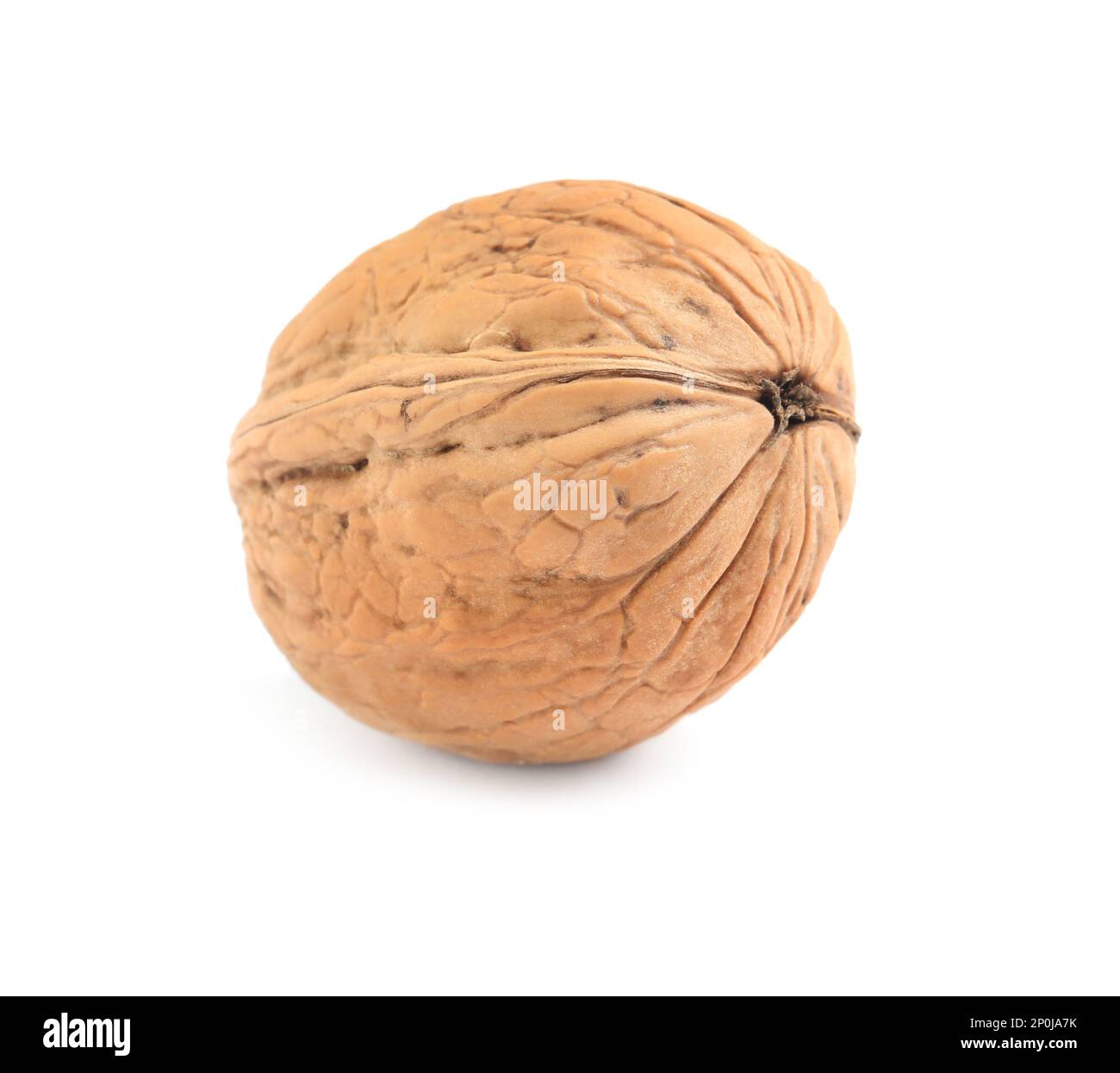 Whole walnut in shell isolated on white Stock Photo - Alamy