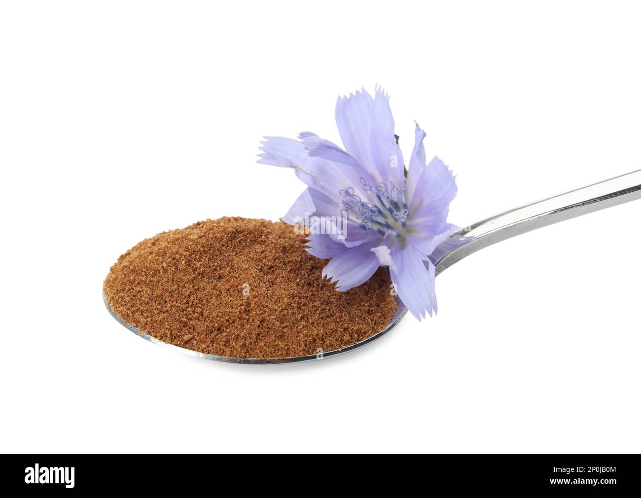 Chicory coffee drink powder Cut Out Stock Images & Pictures - Alamy