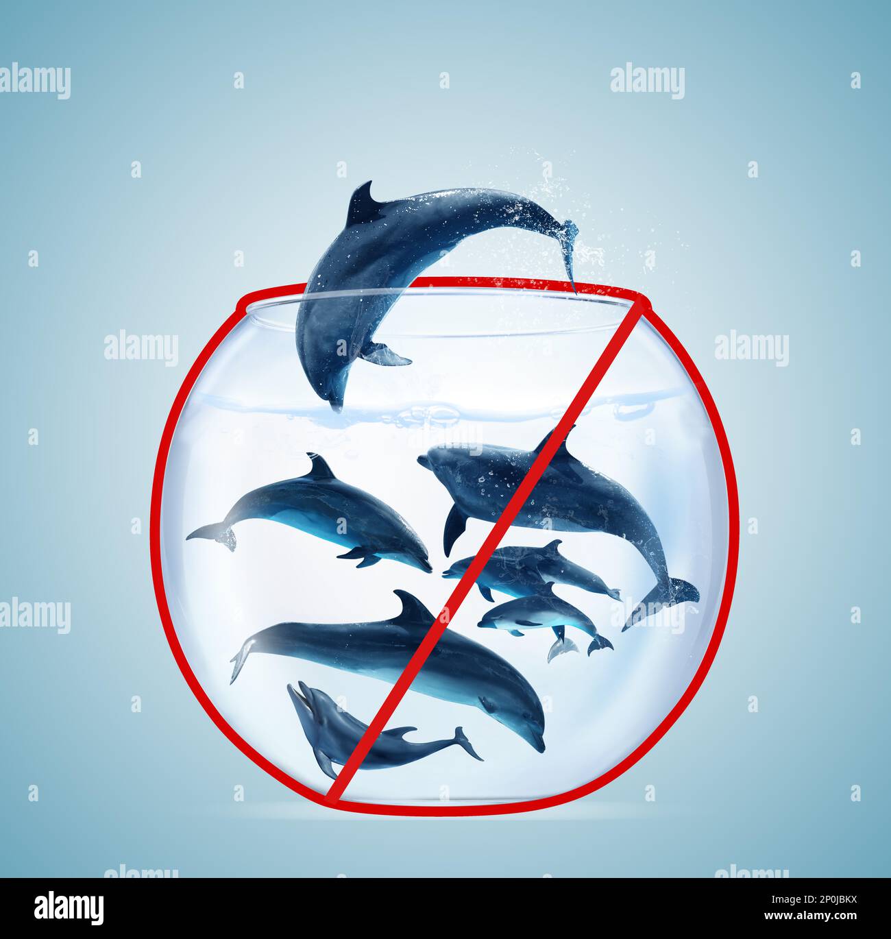 Dolphins in glass aquarium on light blue background. Anti-Captivity ...