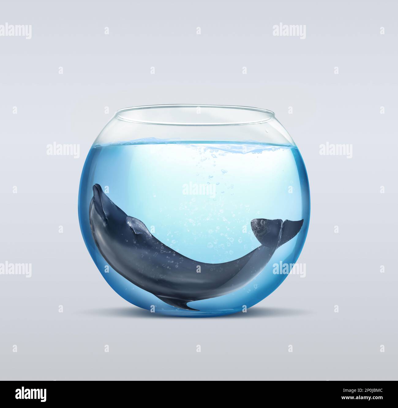 Dolphin in glass aquarium on light background. Anti-Captivity Campaign ...
