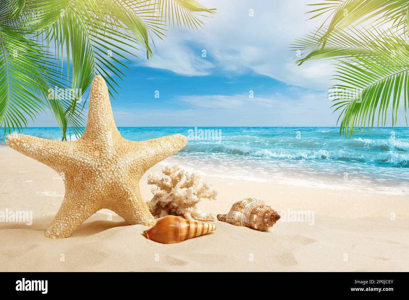 Beautiful sea stars and seashells on sandy beach Stock Photo - Alamy