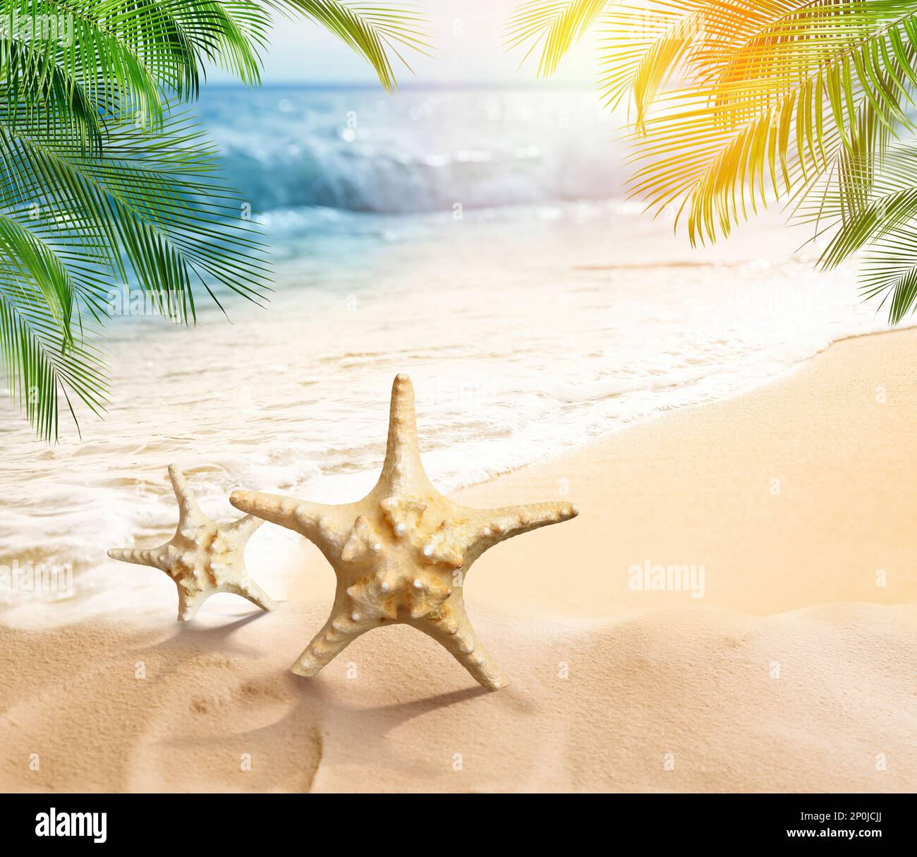 Beautiful sea stars on sandy beach near ocean Stock Photo - Alamy