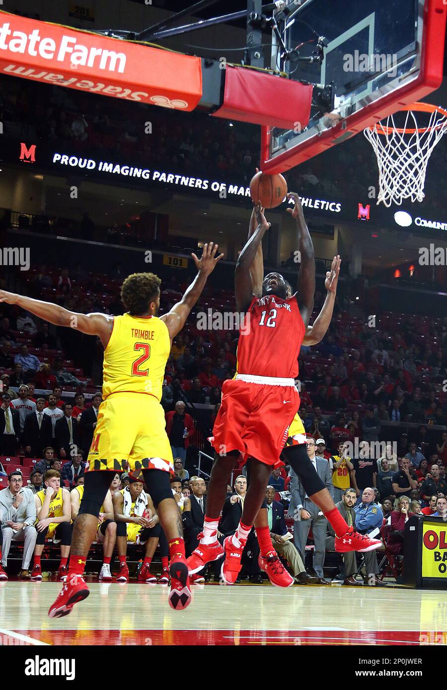 COLLEGE PARK, MD - NOVEMBER 22: Stony Brook Seawolves forward Tyrell ...