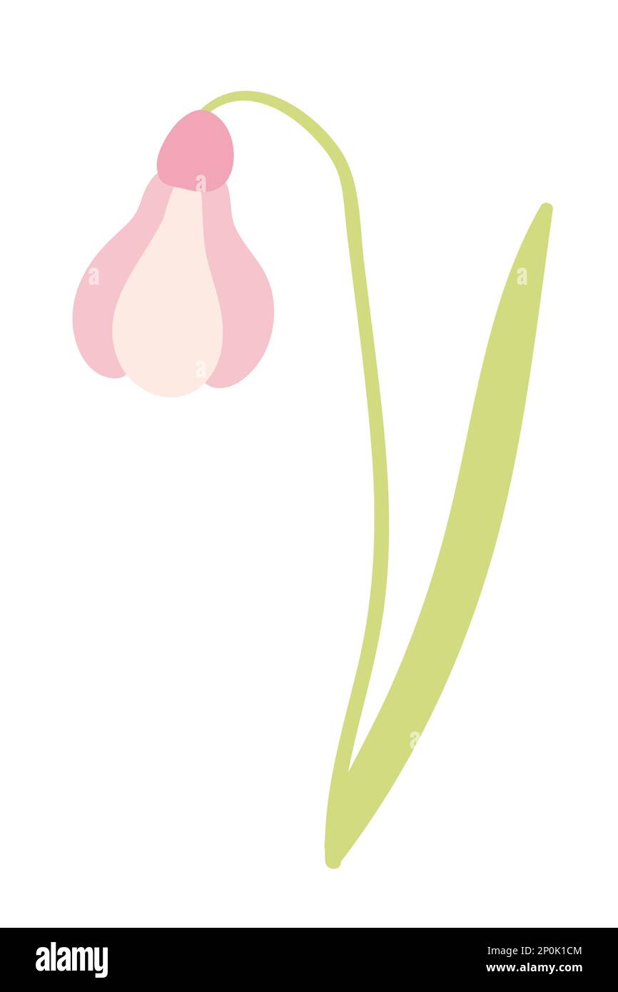 Pink snowdrop Stock Vector Images - Alamy