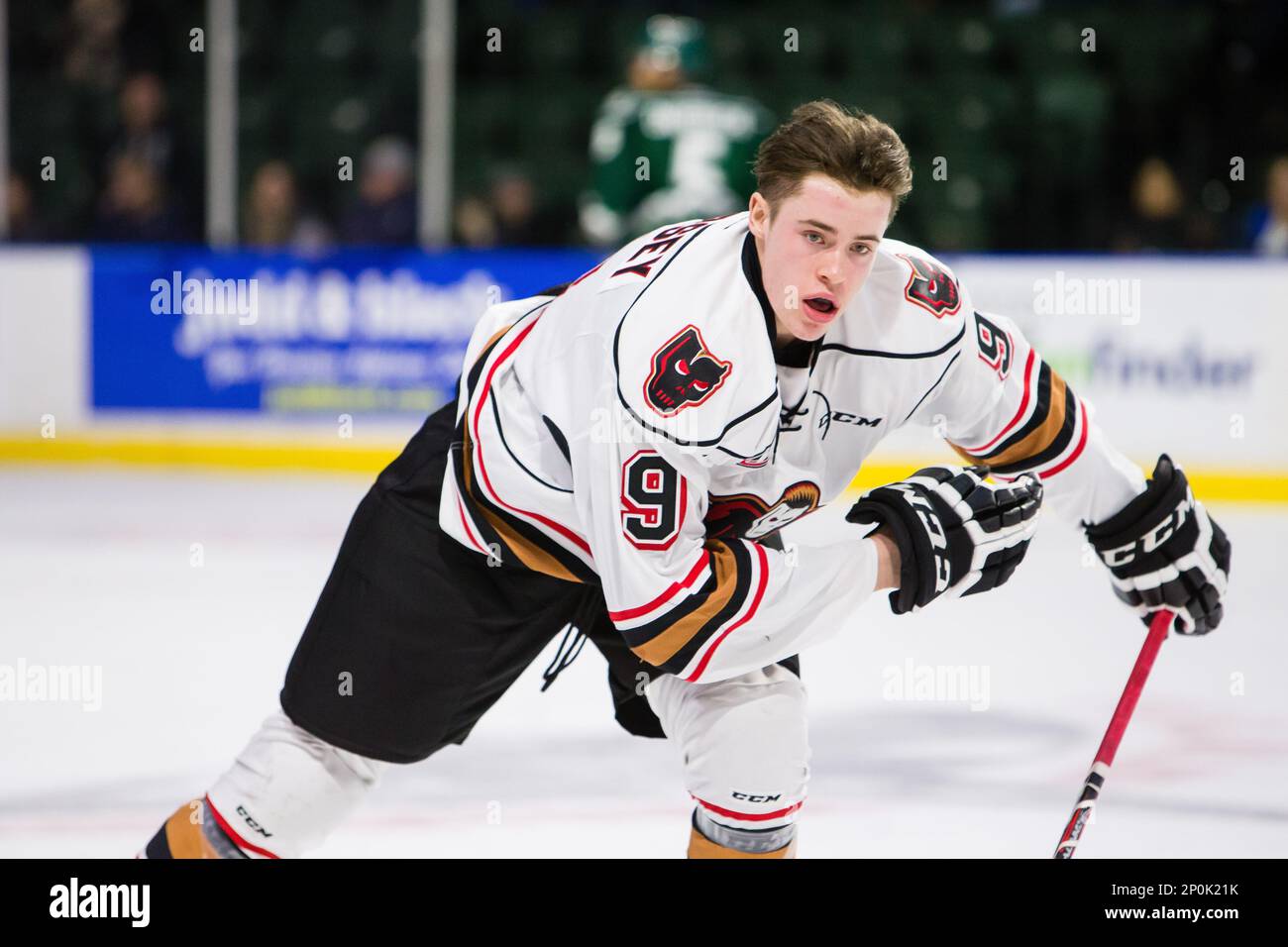 Calgary Hitmen forward Matt Dorsey (9) skates off the ice after losing ...