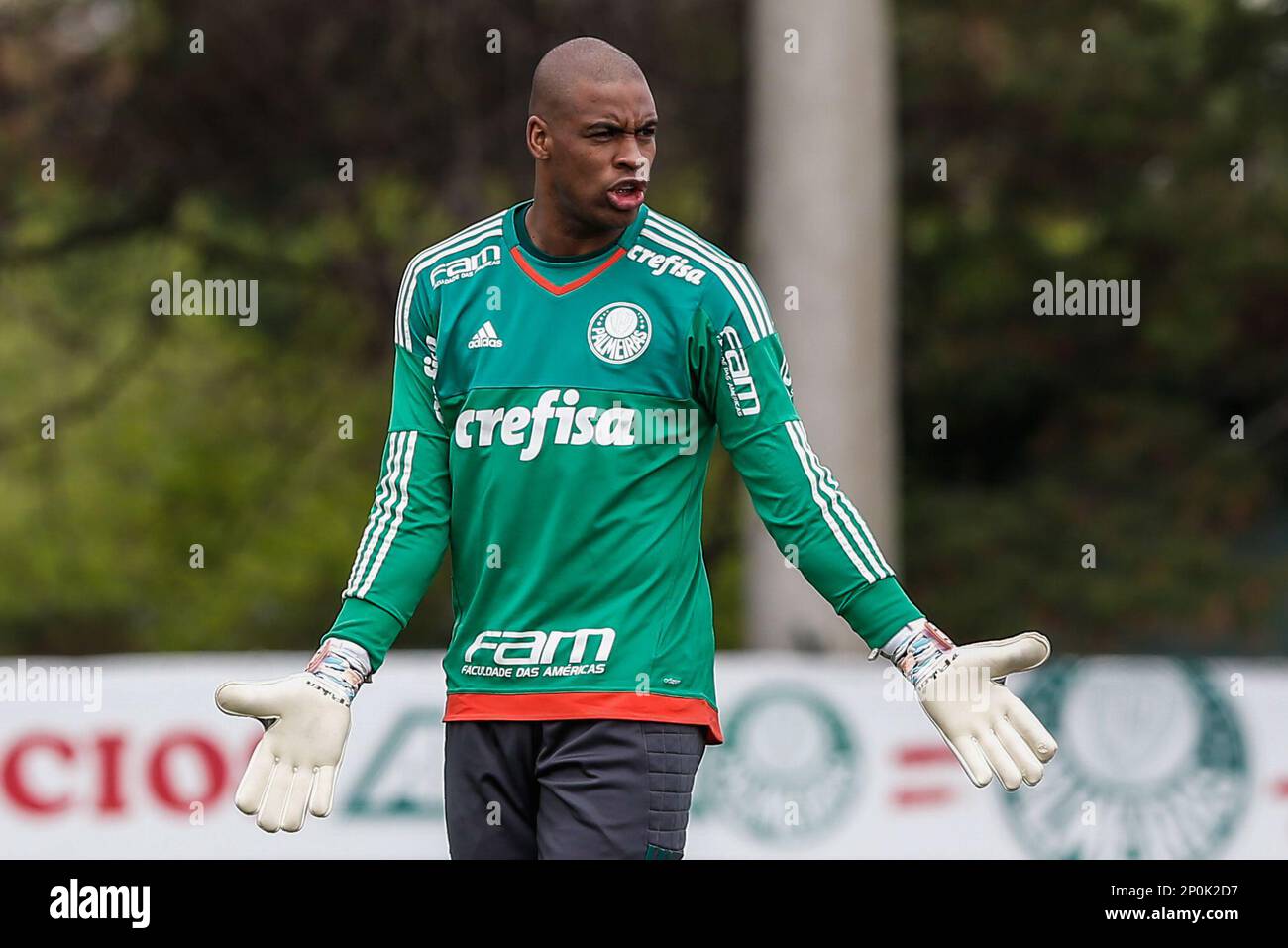 SAO PAULO - SP - 22/11/2016 - TREINO DO PALMEIRAS - Jailson durante ...