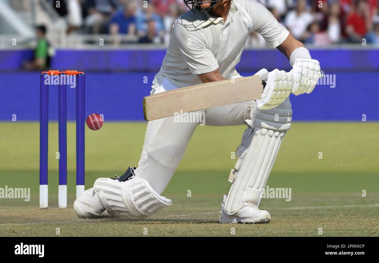 Professional cricket players hi-res stock photography and images - Alamy