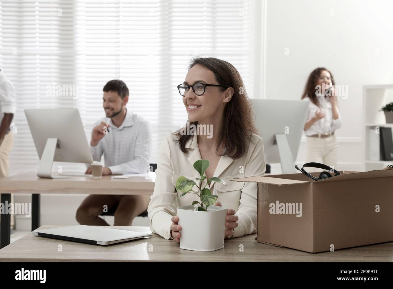 New coworker with plant at workplace in office Stock Photo - Alamy