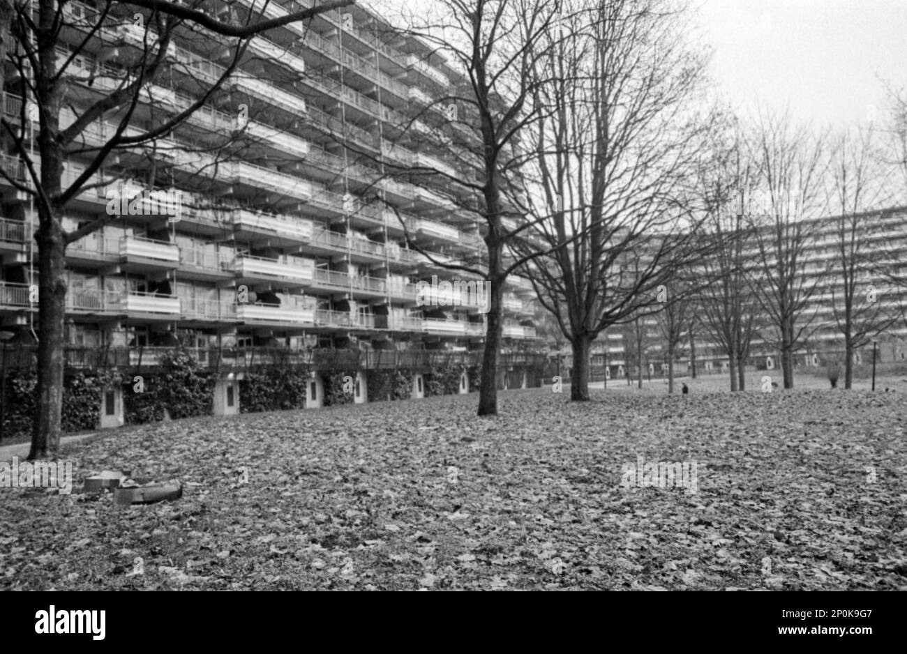 Amsterdam 1960s hi-res stock photography and images - Alamy