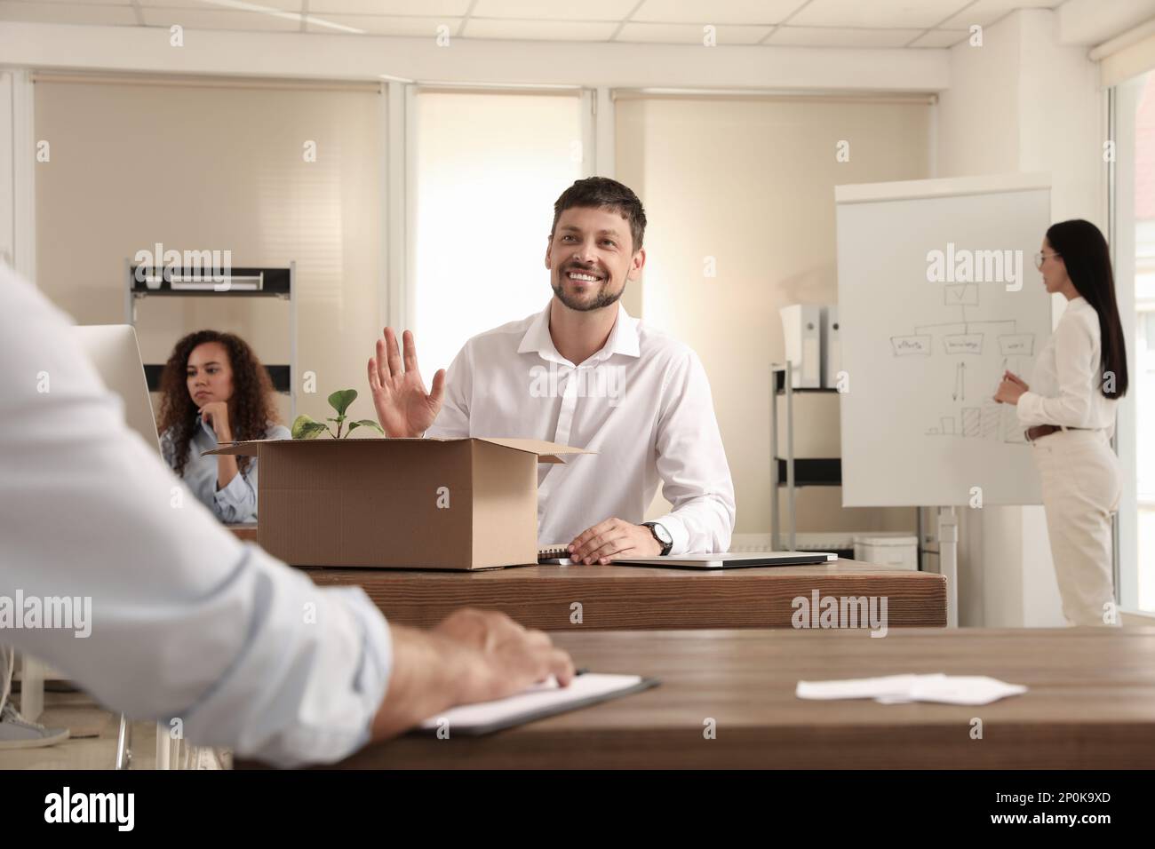 New coworker greeting employee in modern office Stock Photo - Alamy
