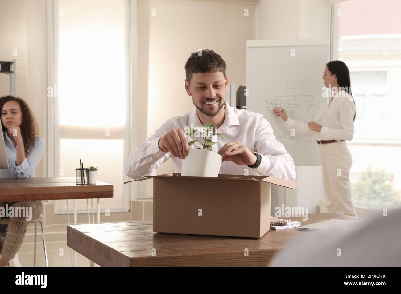 New coworker unpacking box with personal items at workplace in office ...