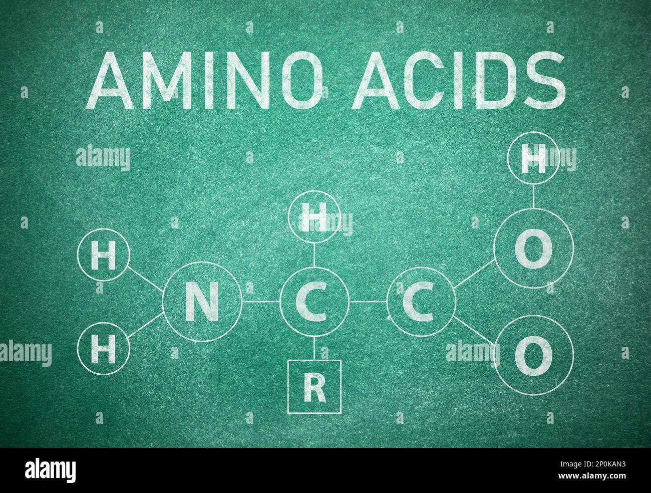 Text AMINO ACIDS and chemical formula written on green chalkboard Stock ...