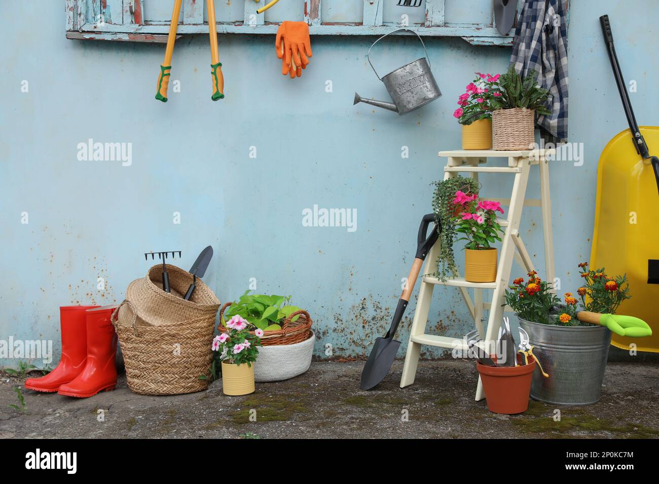 Beautiful plants, gardening tools and accessories near shed outdoors ...