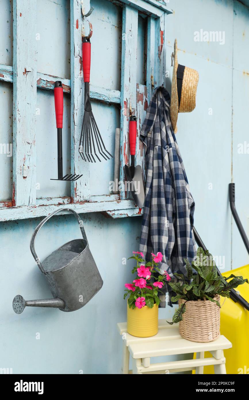 Beautiful plants, gardening tools and accessories near metal wall Stock ...