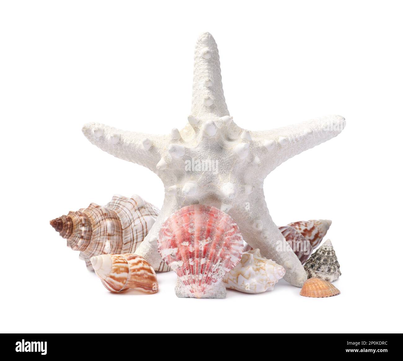 Beautiful sea star and seashells on white background Stock Photo - Alamy