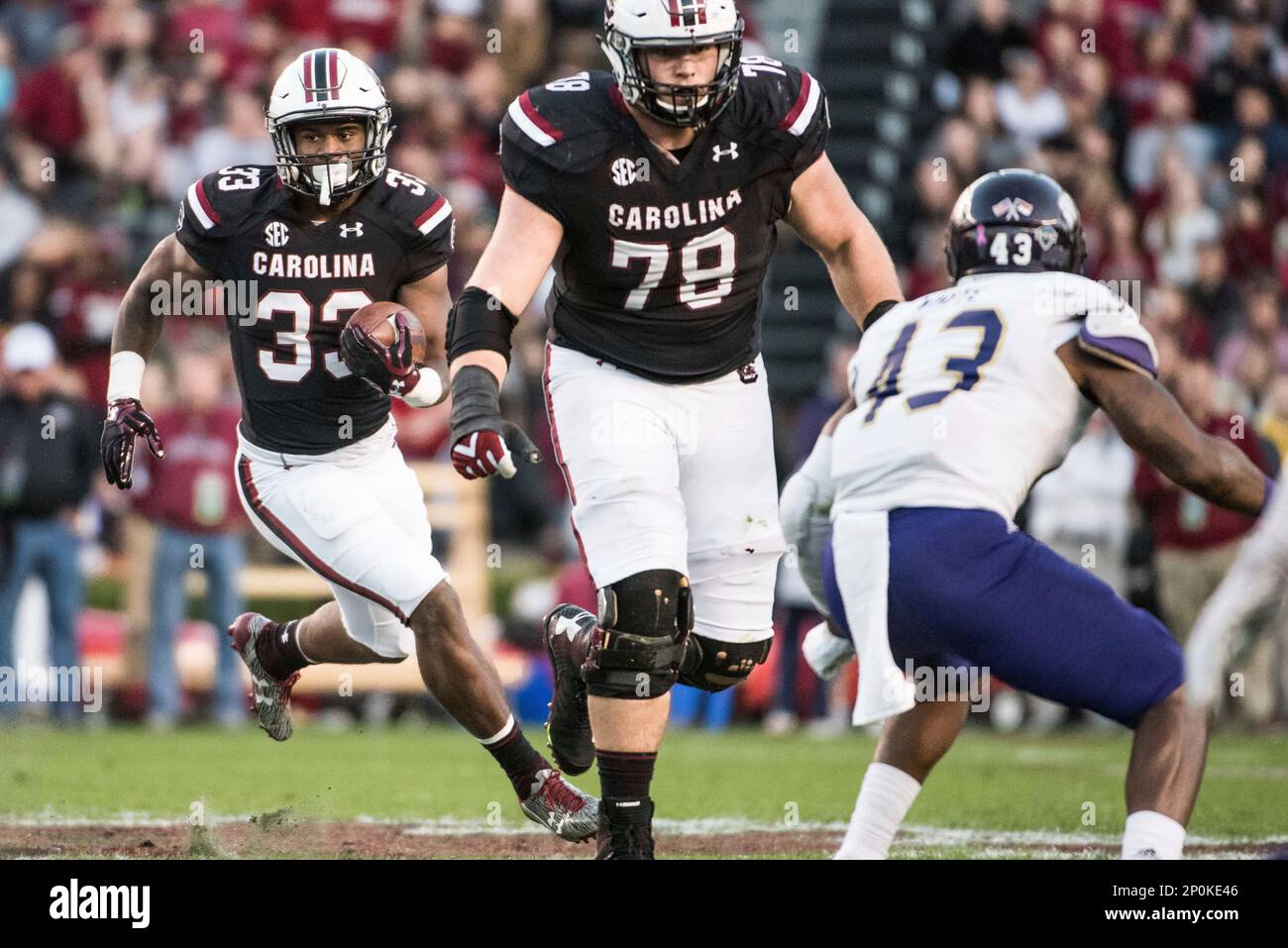 South Carolina running back David Williams (33) carries the ball during ...