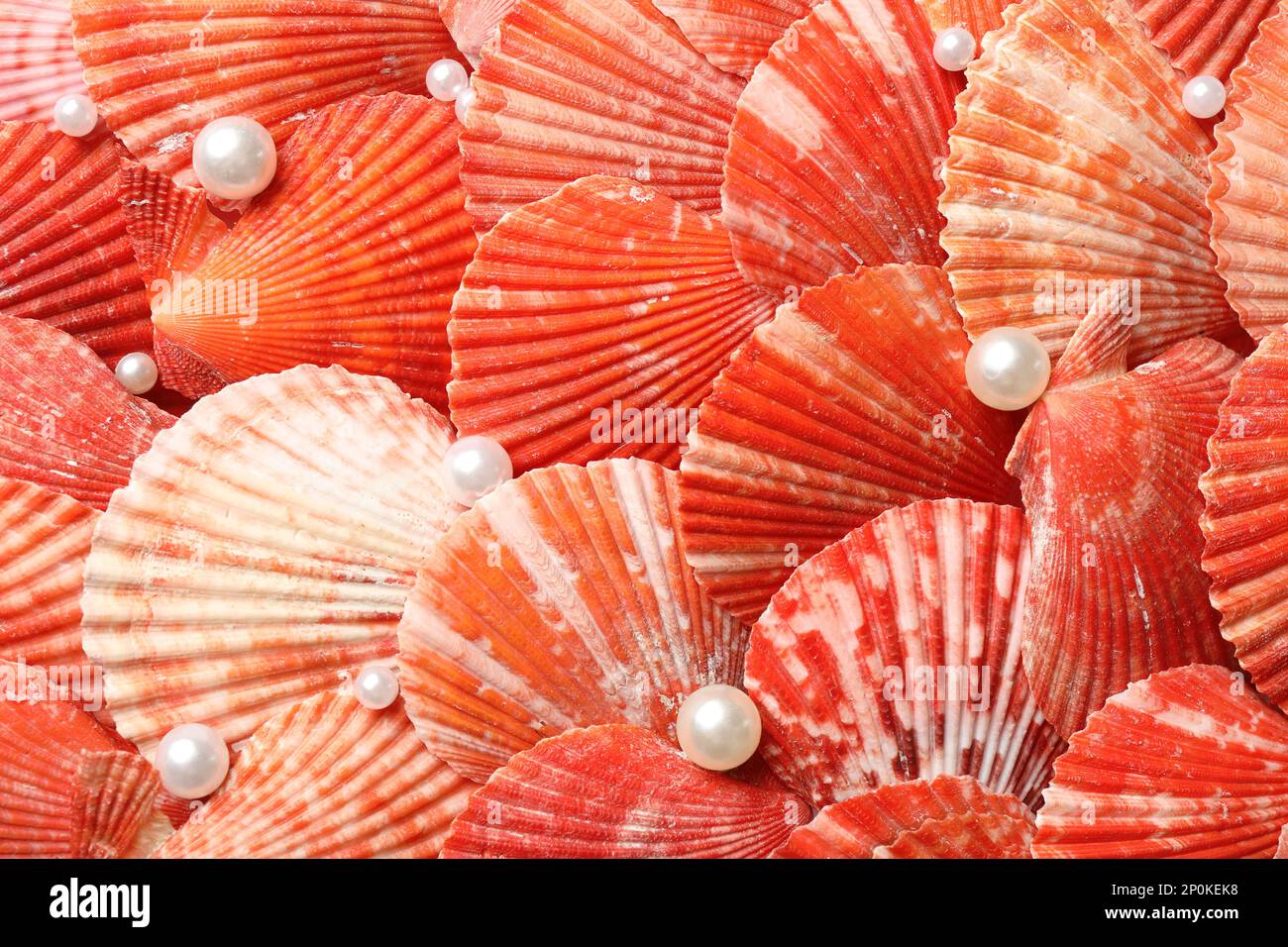 Beautiful pearls and seashells as background, closeup Stock Photo - Alamy