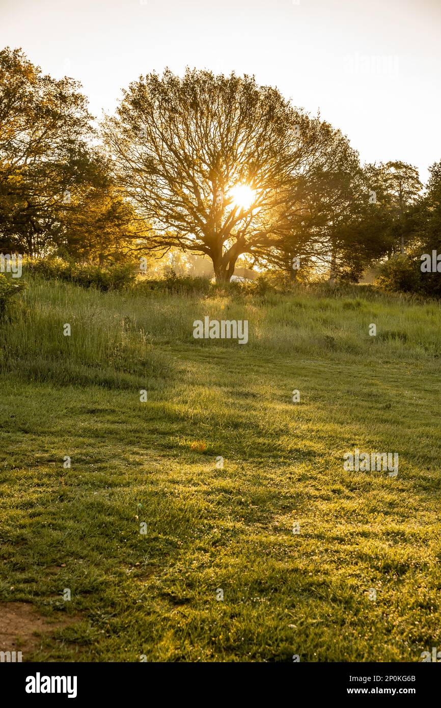 Guildford & Puttenham, Surey, England, UK Stock Photo - Alamy