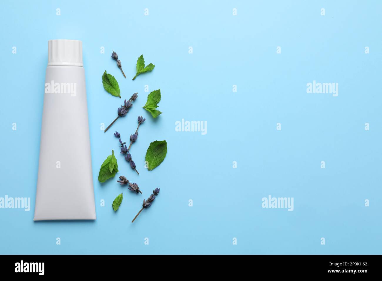 Blank tube of toothpaste with mint and lavender flowers on turquoise ...