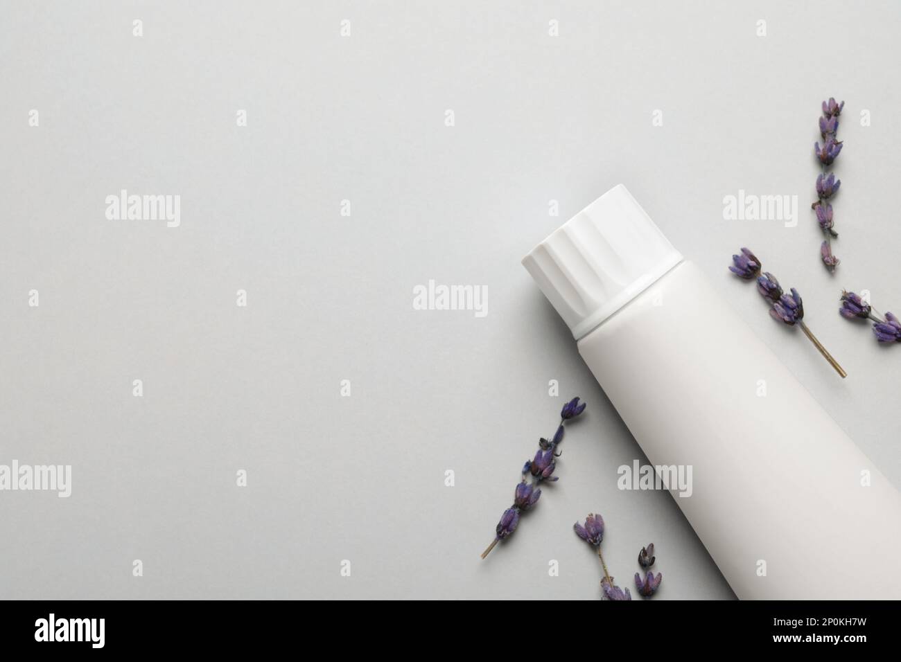 Blank tube of toothpaste with lavender flowers on white background ...