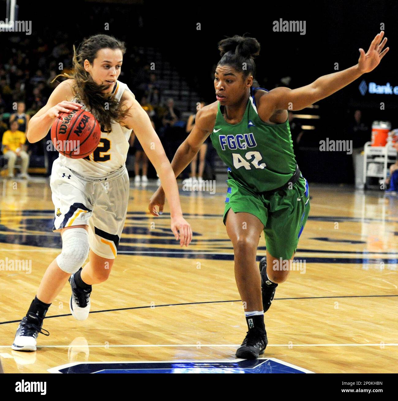 Northern Colorado's Danielle Noble drives the ball past Florida Gulf ...