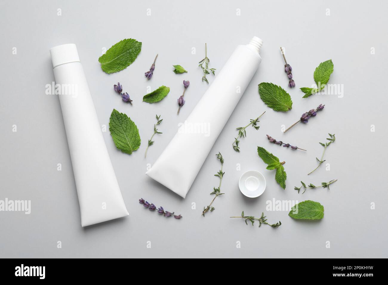 Blank tubes of toothpaste, mint, thyme and lavender flowers on white ...
