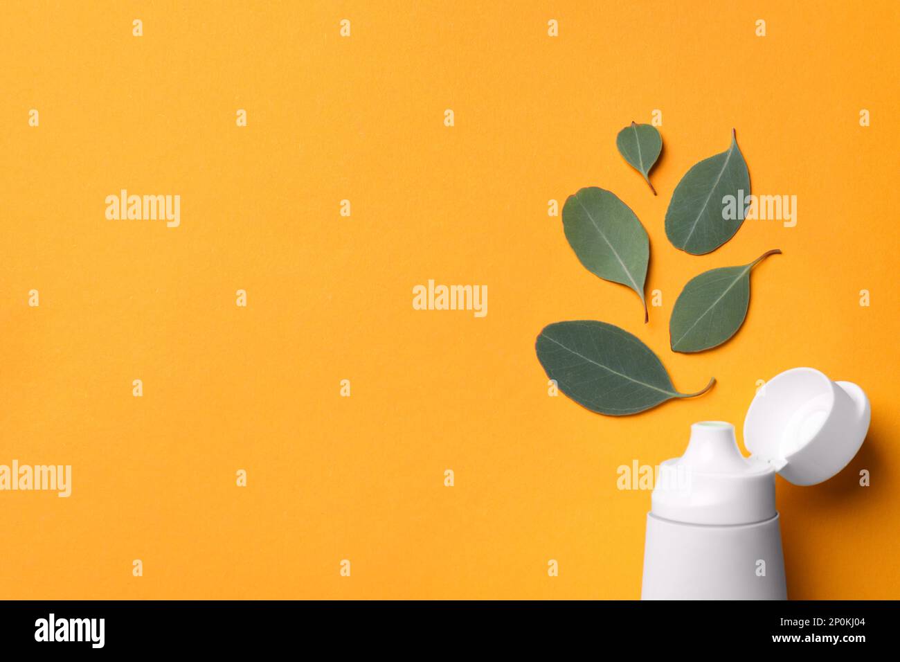 Blank tube of toothpaste and eucalyptus leaves on orange background ...