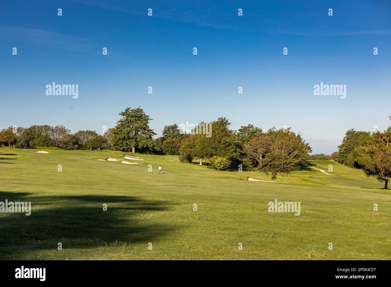 Puttenham golf club hi-res stock photography and images - Alamy