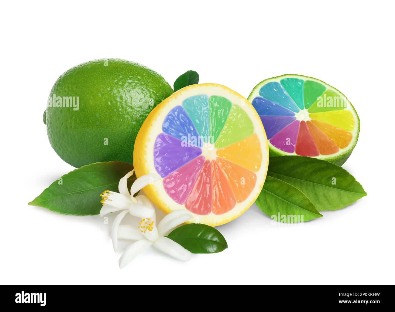 Fresh lemon and lime with rainbow segments on white background ...
