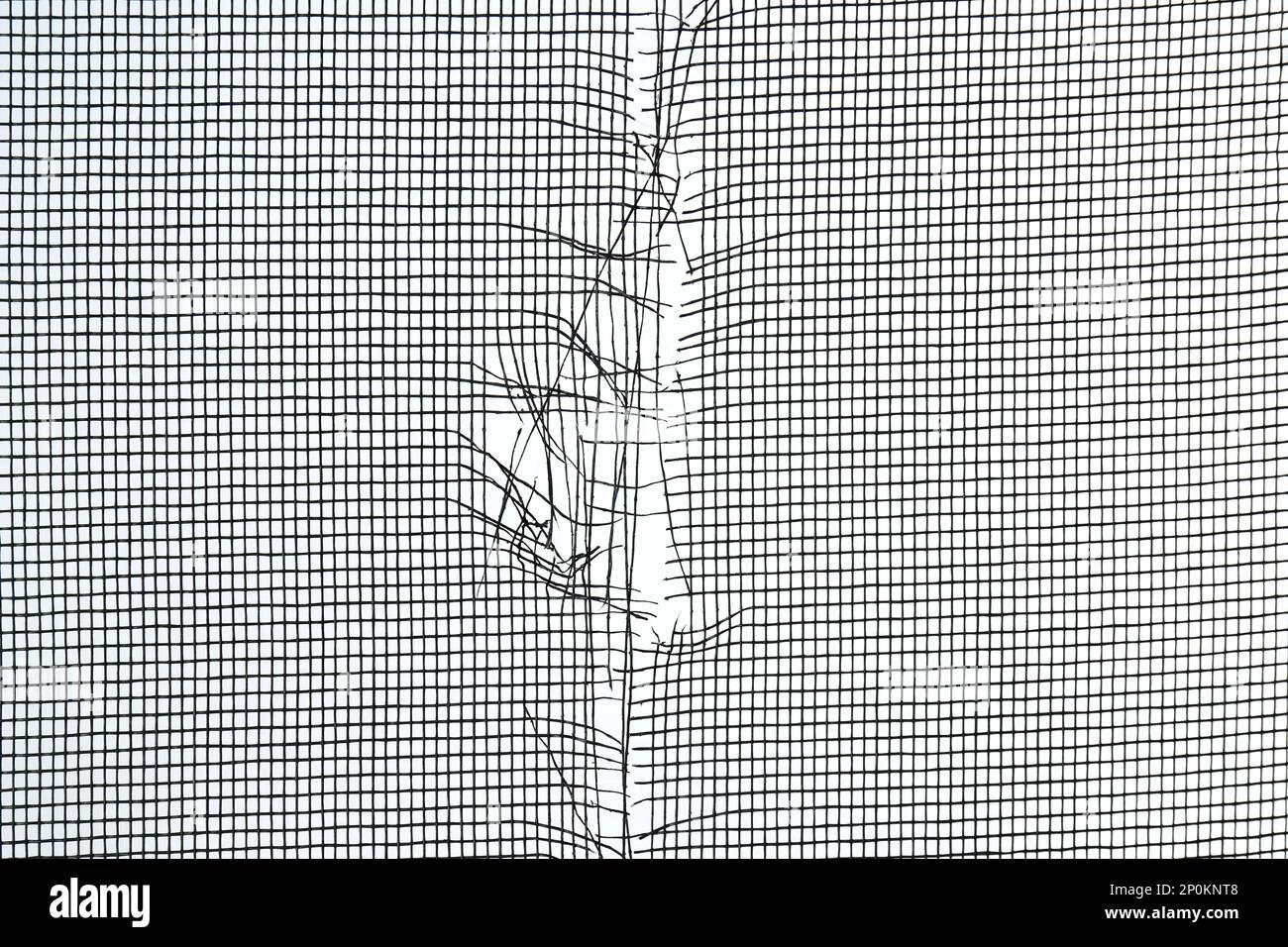 Torn window screen against white background, closeup Stock Photo - Alamy