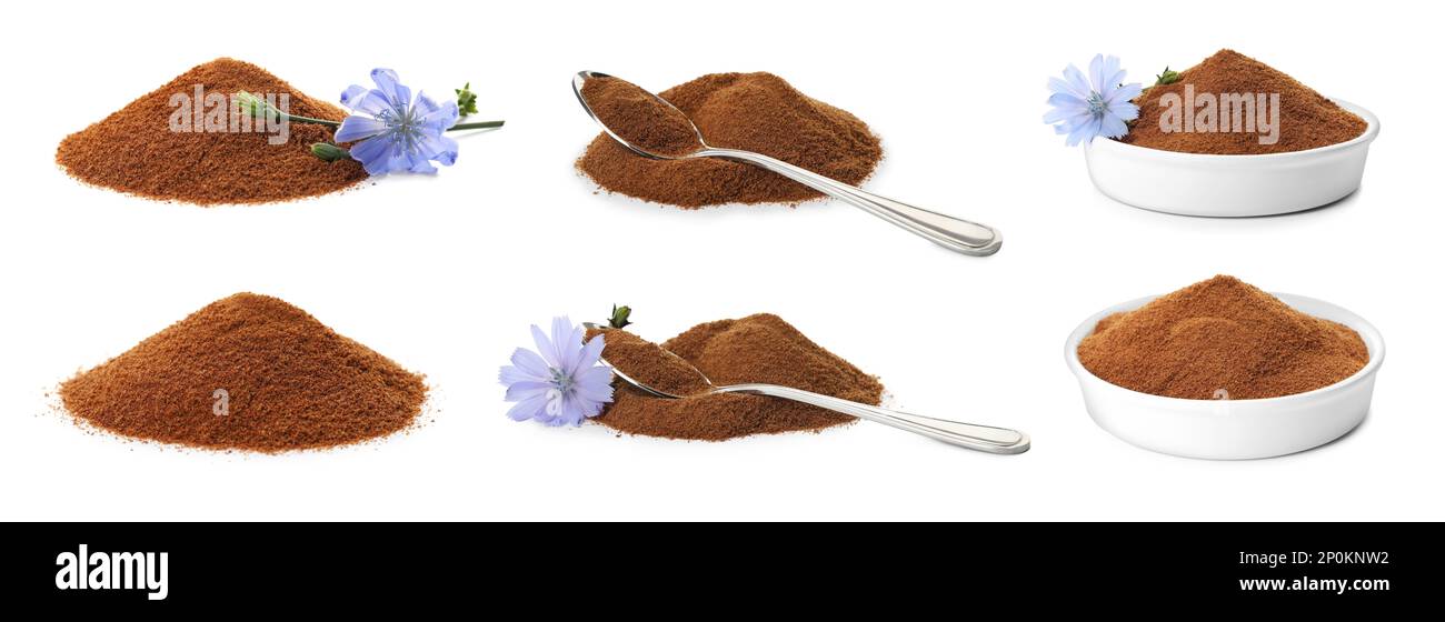 Set with chicory powder on white background. Banner design Stock Photo ...