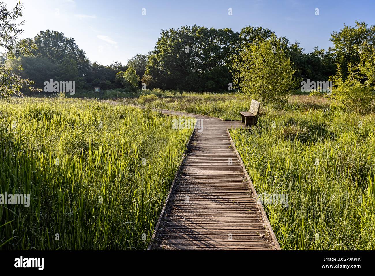Guildford & Puttenham, Surey, England, UK Stock Photo - Alamy