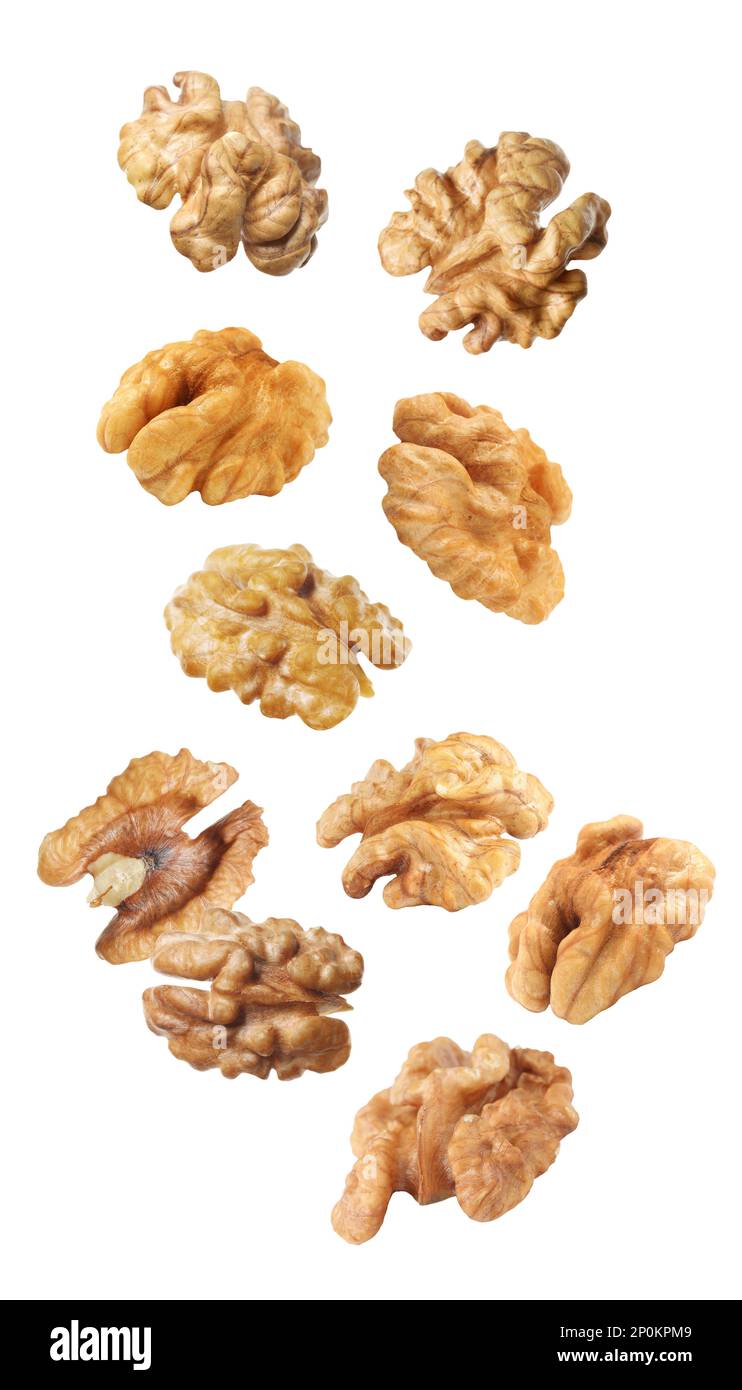 Halves of walnuts falling on white background Stock Photo - Alamy