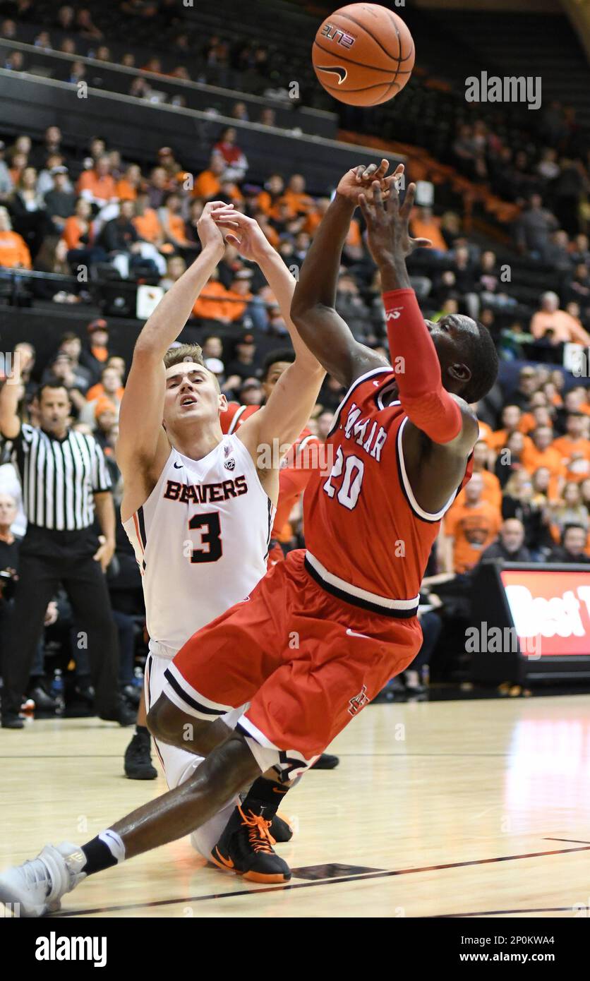 Oregon State forward Tres Tinkle (3) and Lamar's Marcus Owens (20) slip ...
