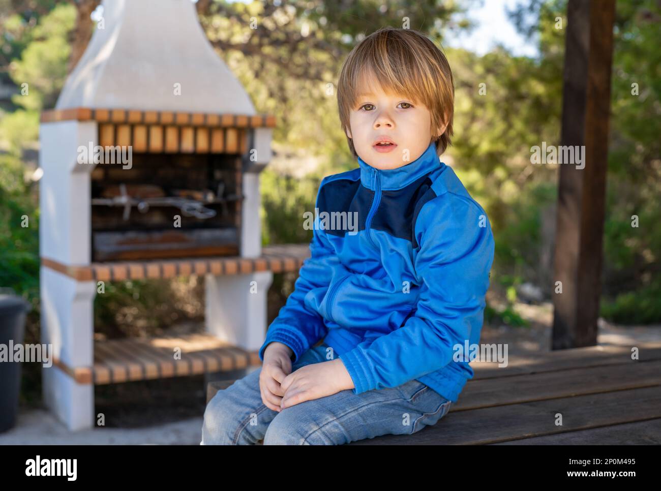 Child boy exploring nature in the forest. Little boy travel in the ...