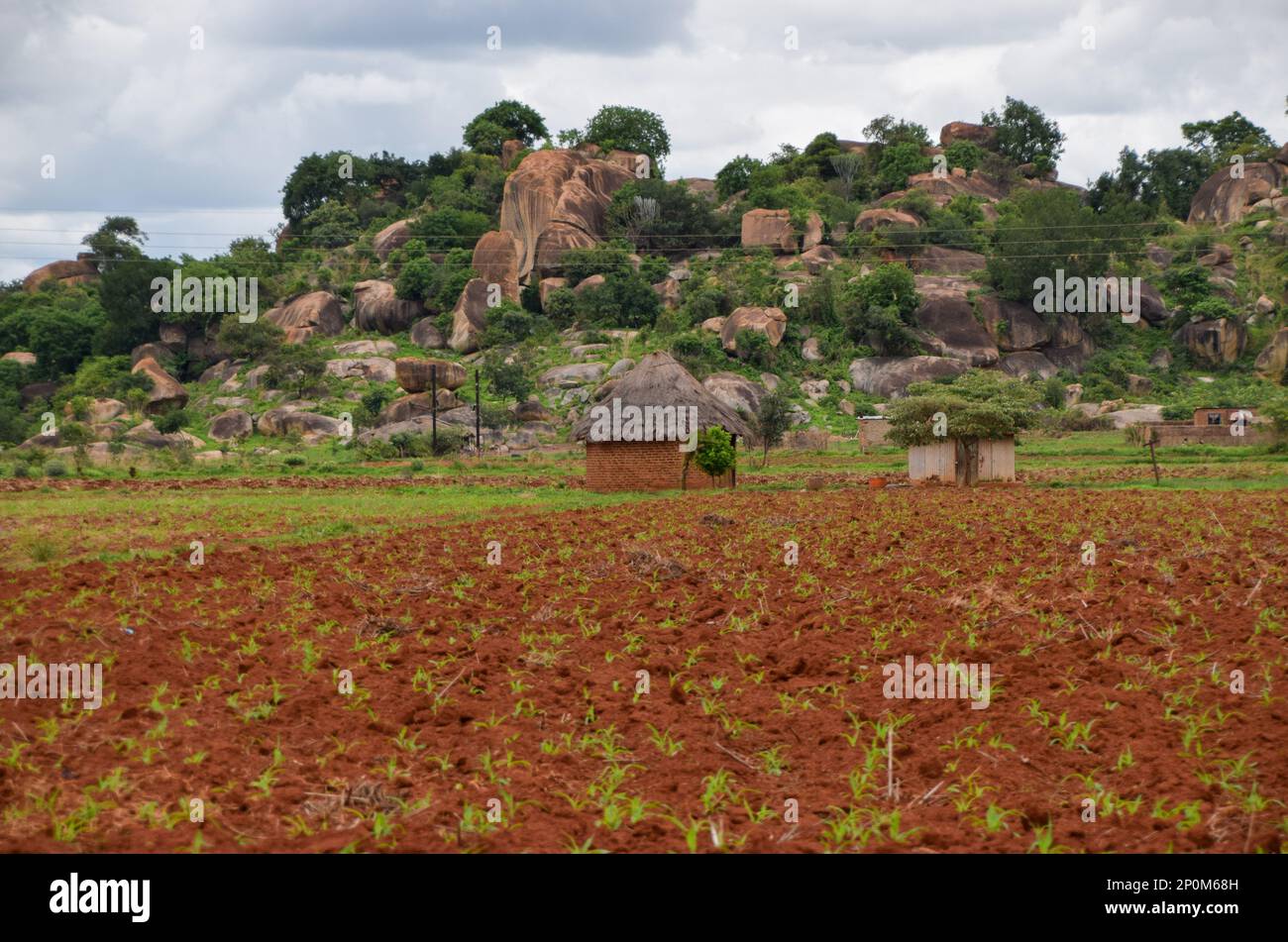 A farm and a traditional hut in rural Zimbabwe Stock Photo - Alamy