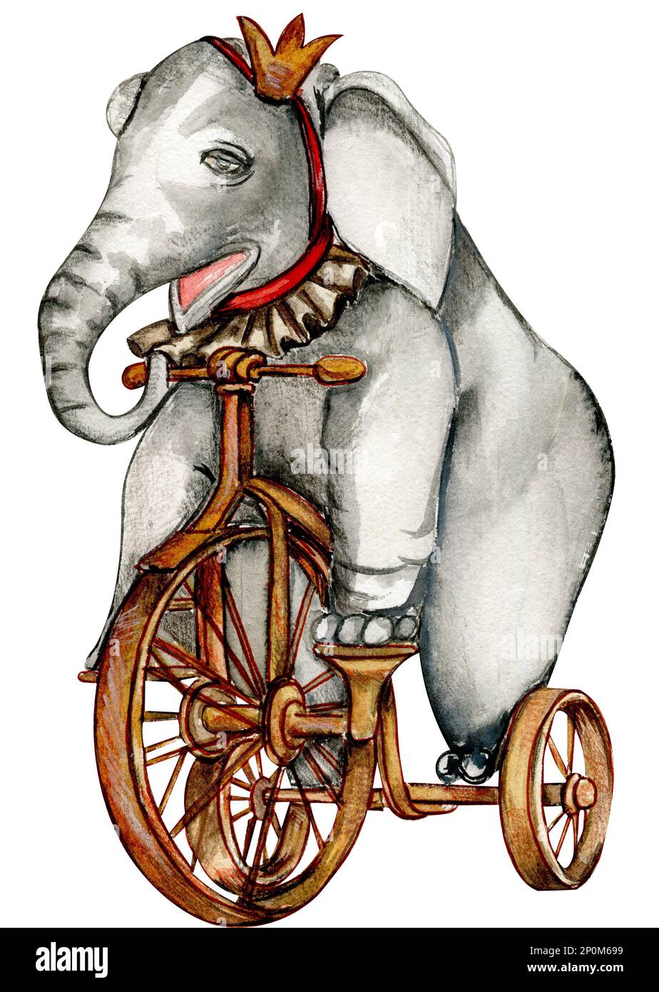 Watercolor hand drawn circus elephant on bicycle vintage style. A drawing of an elephant on a ...