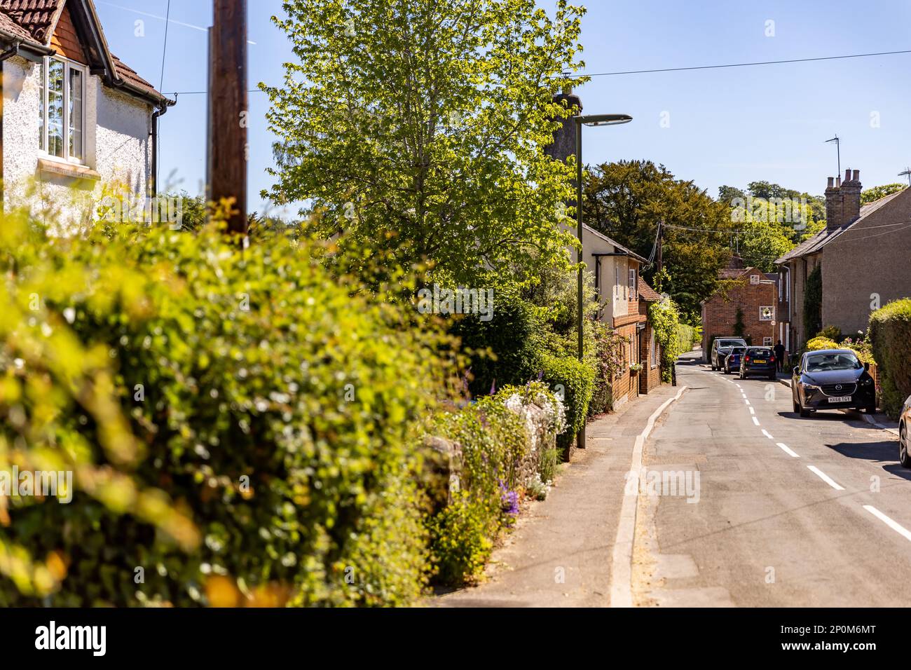 Guildford & Puttenham, Surey, England, UK Stock Photo - Alamy