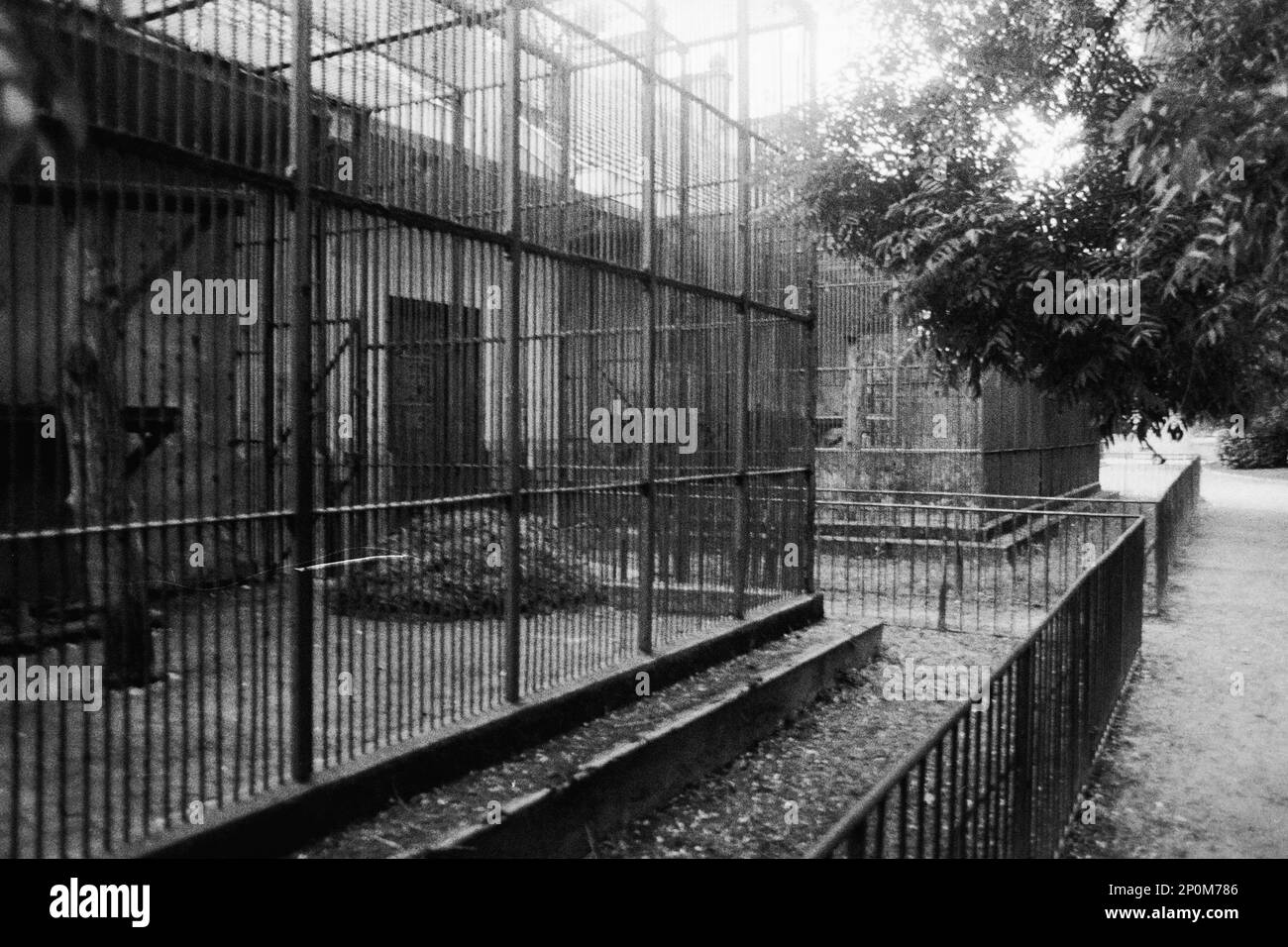 Archives 80ies: Animals in captivity, at Tete d'Or Park zoo, Lyon ...