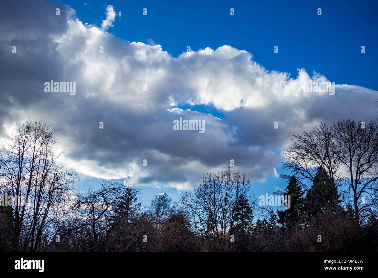 Cloudy moody dark and cold dramatic winter sky with silhouettes of ...