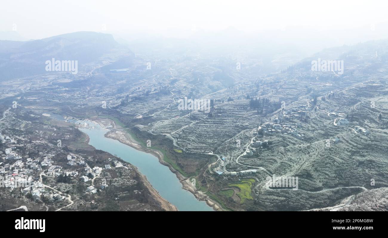 Aerial photo shows cherry blossoms blooming in Aohe Village, Qingzhen ...