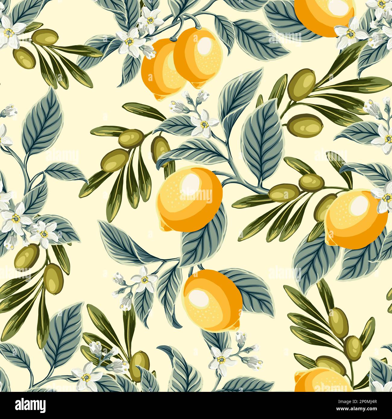 Botanica fruit illustration Stock Vector Images - Alamy