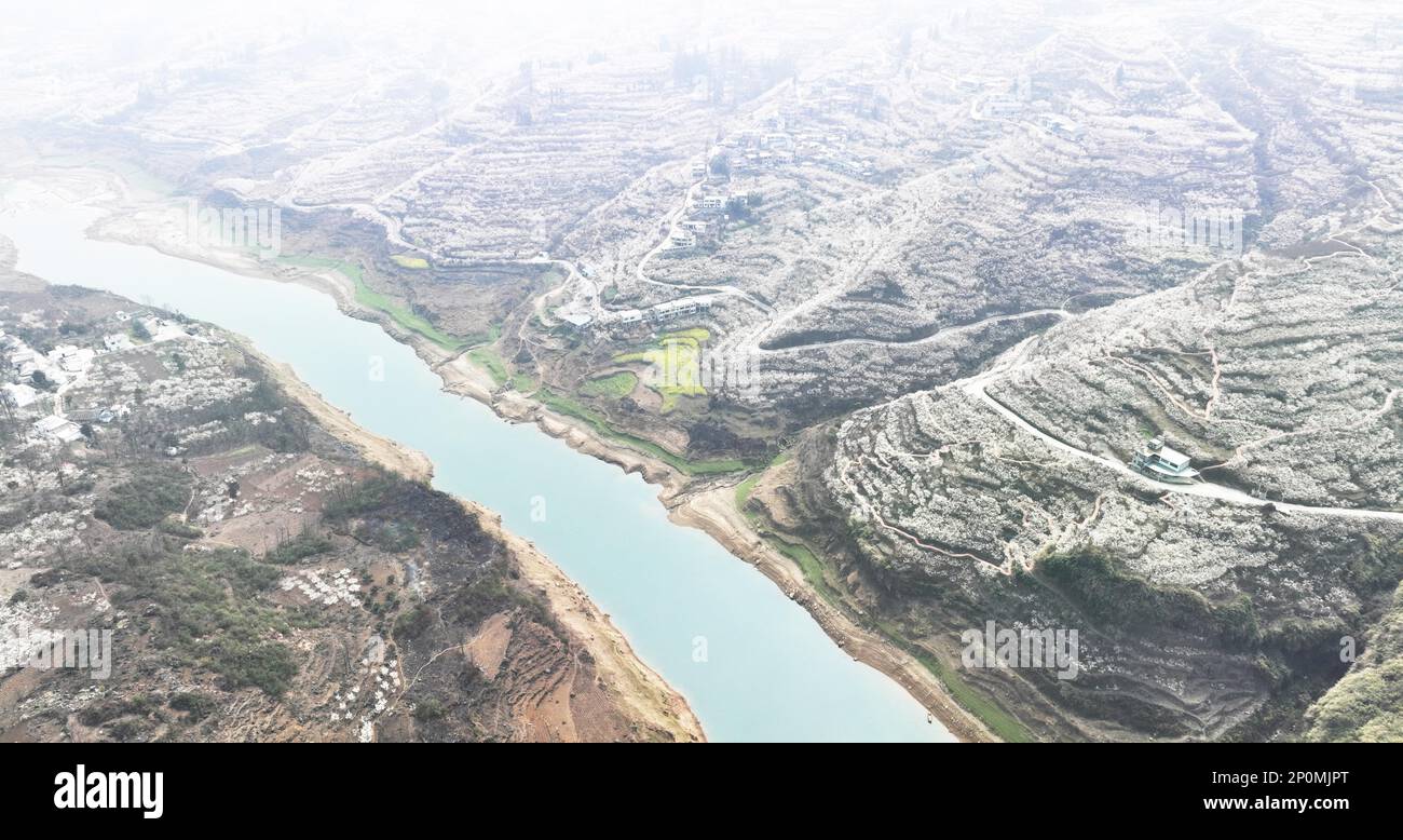 Aerial photo shows cherry blossoms blooming in Aohe Village, Qingzhen ...